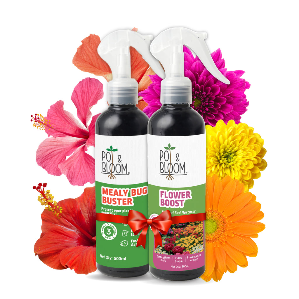 Mealy Bug Buster + Flower Boost 500 ml – Pot and Bloom