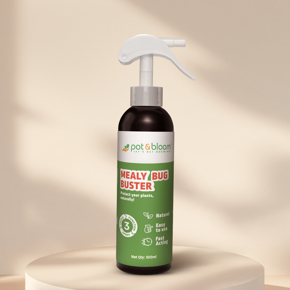 Buy Mealy Bug Control Spray (500ml) Online at Best Price | Pot and Bloom