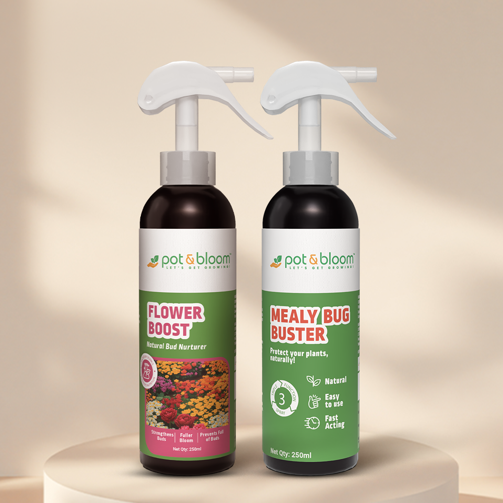 Buy Mealy Bug Buster and Flower Boost Spray Combo (250ml) at Best Price ...