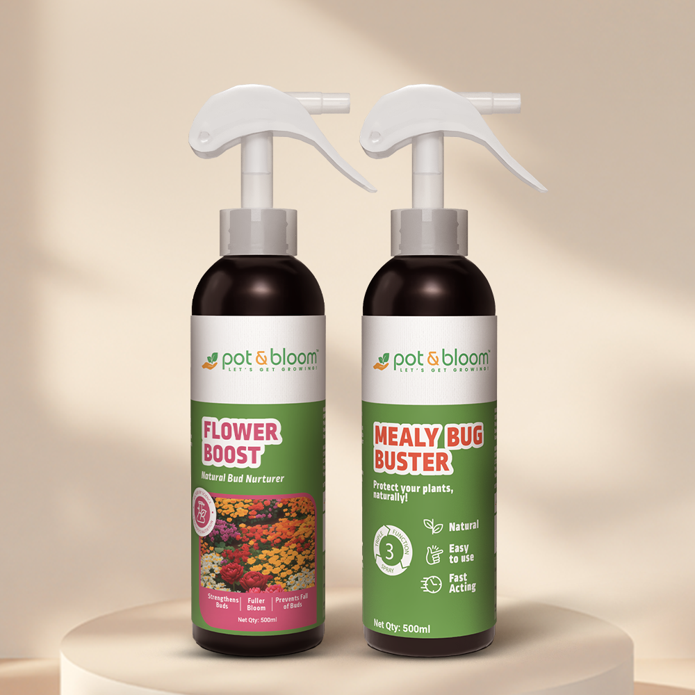 Buy Mealy Bug Buster and Flower Boost Spray Combo (500ml) at Best Price ...