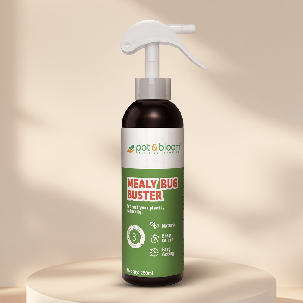 Buy Mealy Bug Treatment Spray (250ml) Online at Best Price | Pot and Bloom