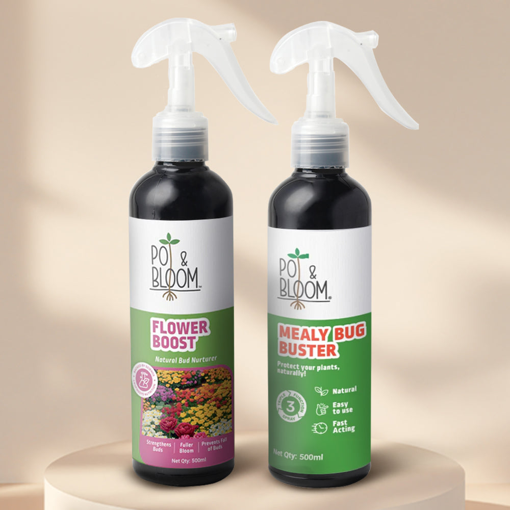 Buy Mealy Bug Buster and Flower Boost Spray Combo (500ml) at Best Price ...
