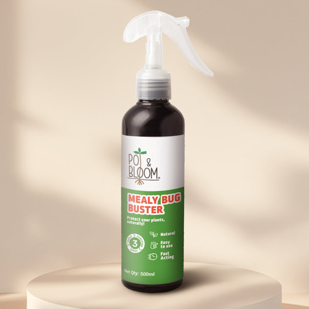 Buy Mealy Bug Control Spray (500ml) Online at Best Price | Pot and Bloom