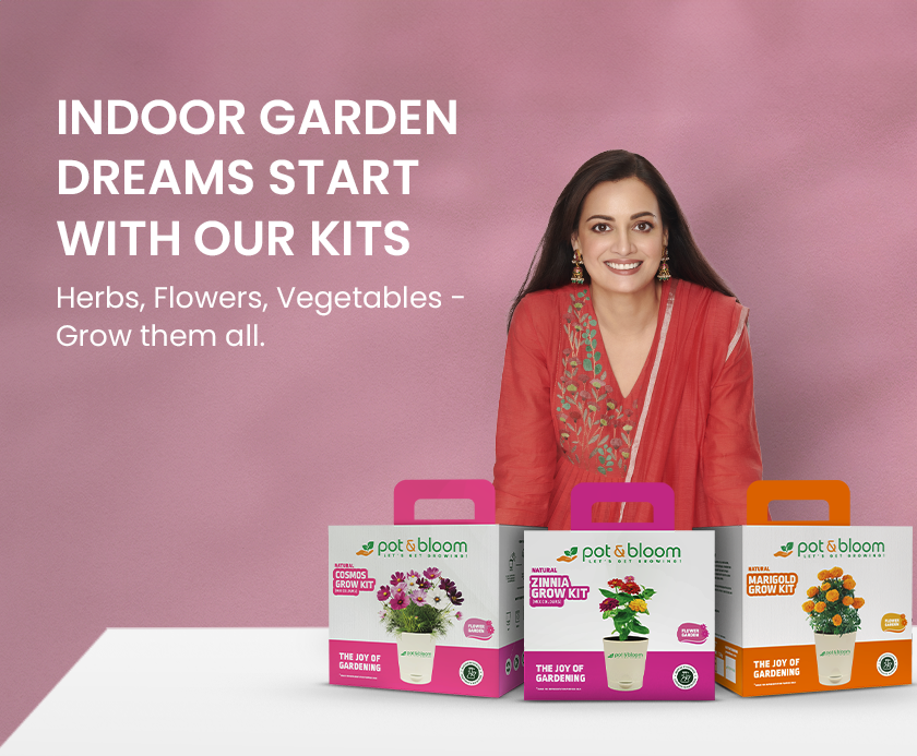 Flower Kits - Buy Flower Growing Kits Online at Pot and Bloom
