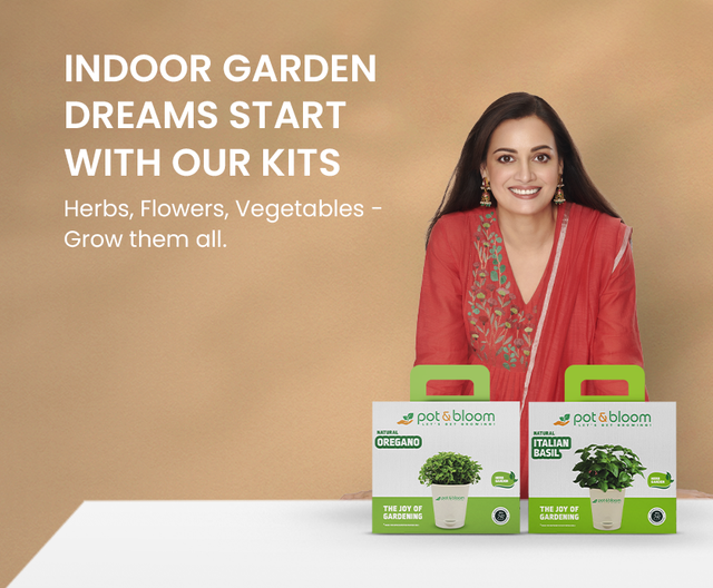 Herb Kits - Buy Herb Garden Kit Online in India at Pot and Bloom