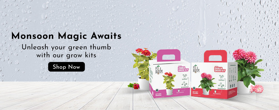 Gardening Kit - Buy Seed and Plant Care Products Online at Pot & Bloom ...