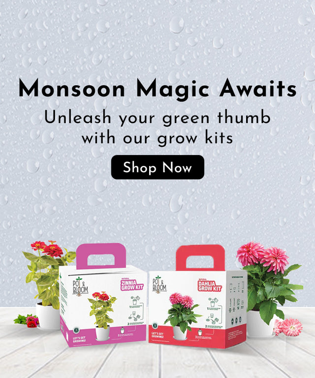 Gardening Kit - Buy Seed and Plant Care Products Online at Pot & Bloom ...