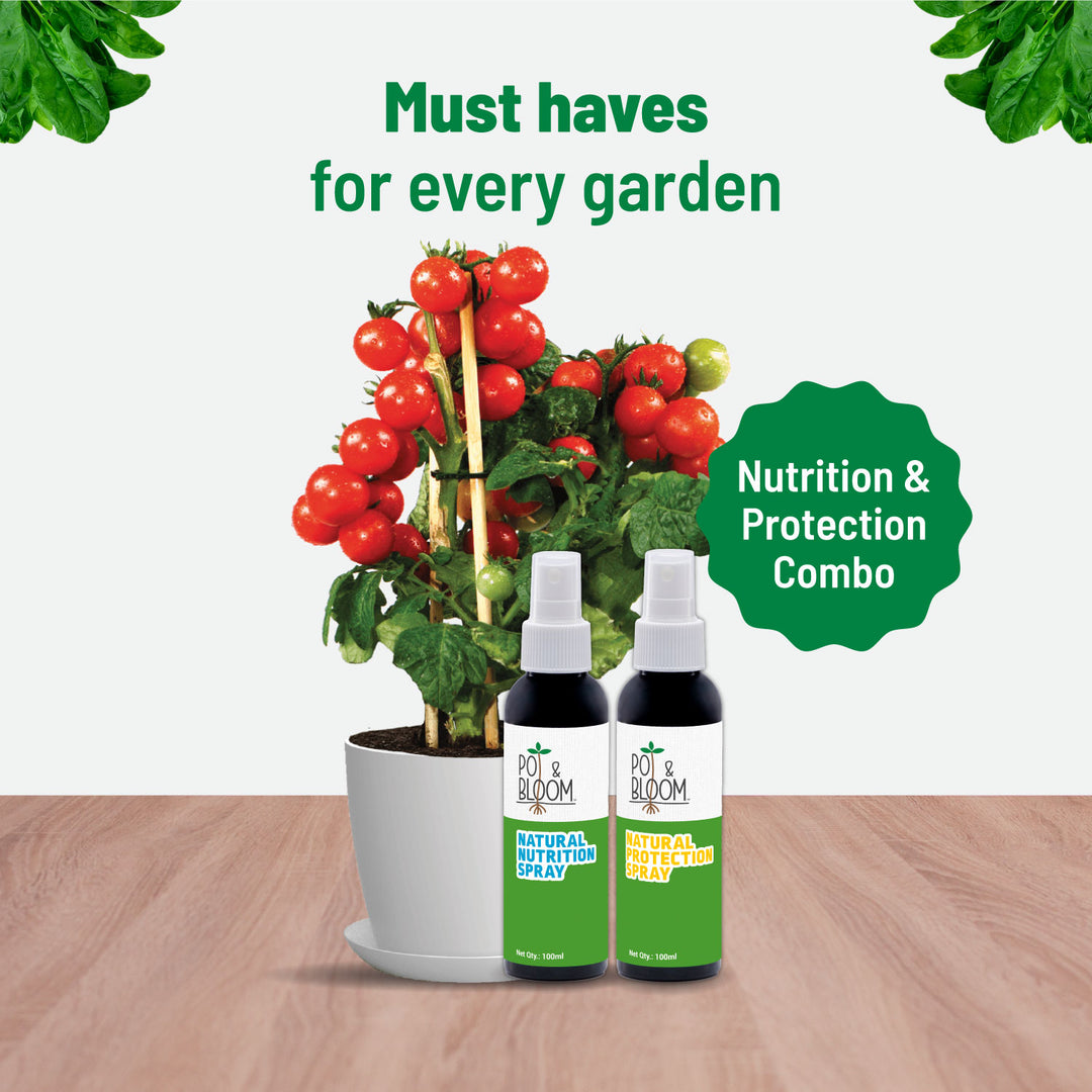 Buy Natural Plant Protection Spray @37% OFF at Pot and Bloom
