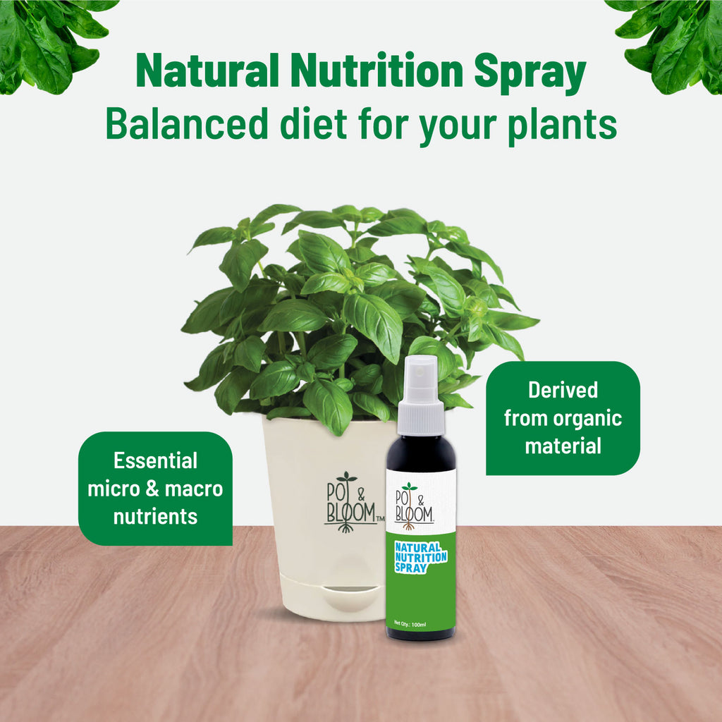 Buy Nutrition and Protection Spray Combo 100ml Online at Best Price ...