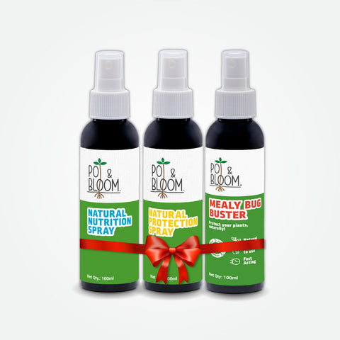 Buy Natural Plant Protection Spray @37% OFF at Pot and Bloom