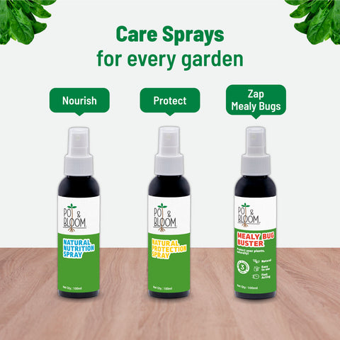 Buy Natural Plant Protection Spray @37% OFF at Pot and Bloom