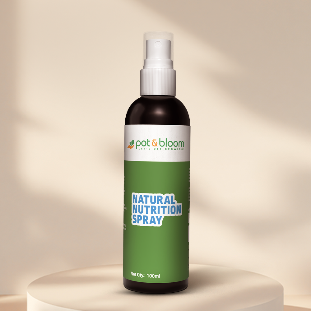 Buy Plant Protection and Nutrition Sprays @37% OFF at Pot and Bloom