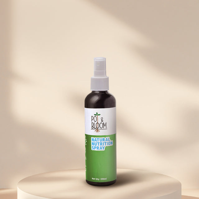 Buy Natural Plant Protection Spray @37% OFF at Pot and Bloom