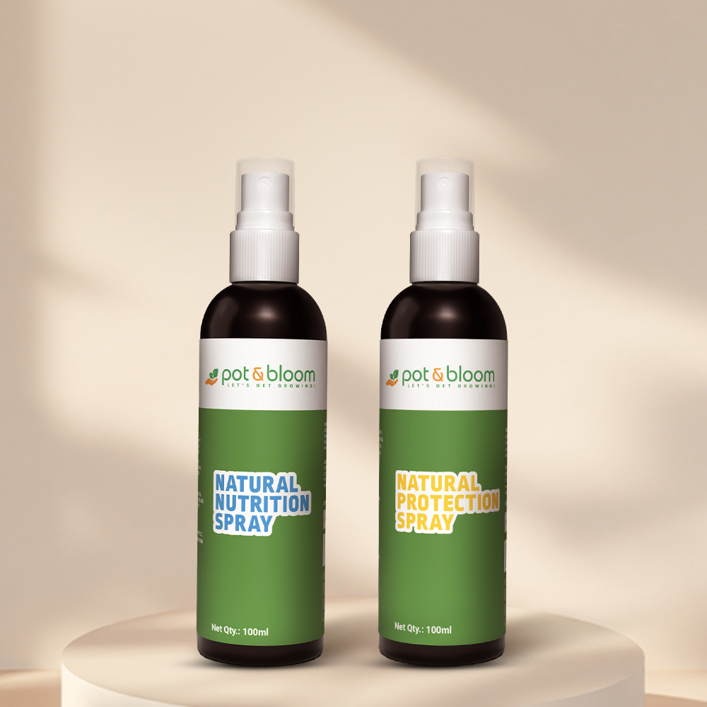 Buy Nutrition and Protection Spray Combo 100ml Online at Best Price ...