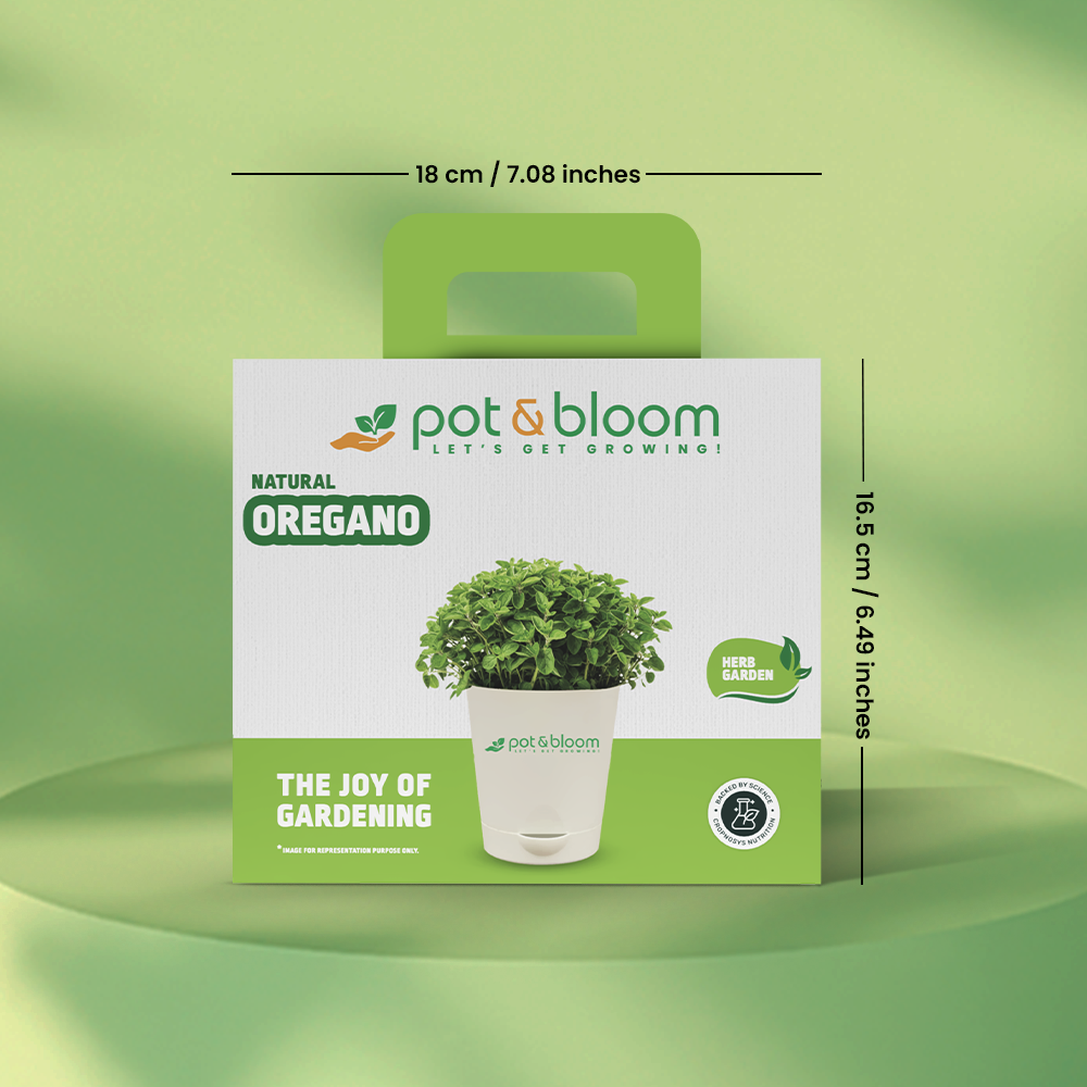 Buy Oregano Kit Online at Best Price | Pot and Bloom