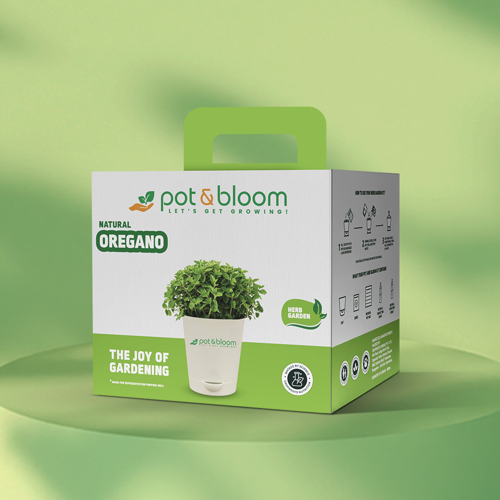 Buy Oregano Kit Online at Best Price | Pot and Bloom