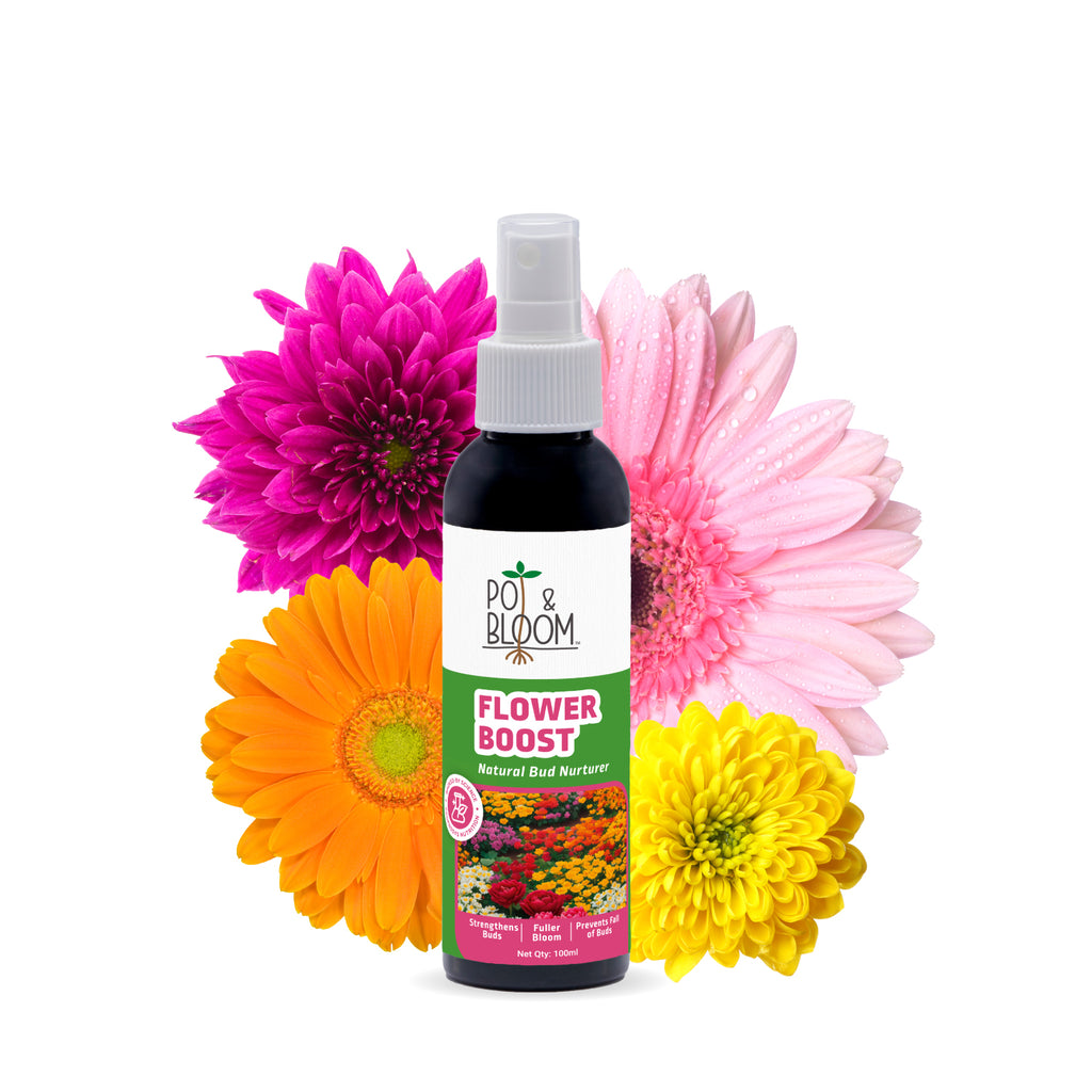 Flower Boost 100 ml – Pot and Bloom