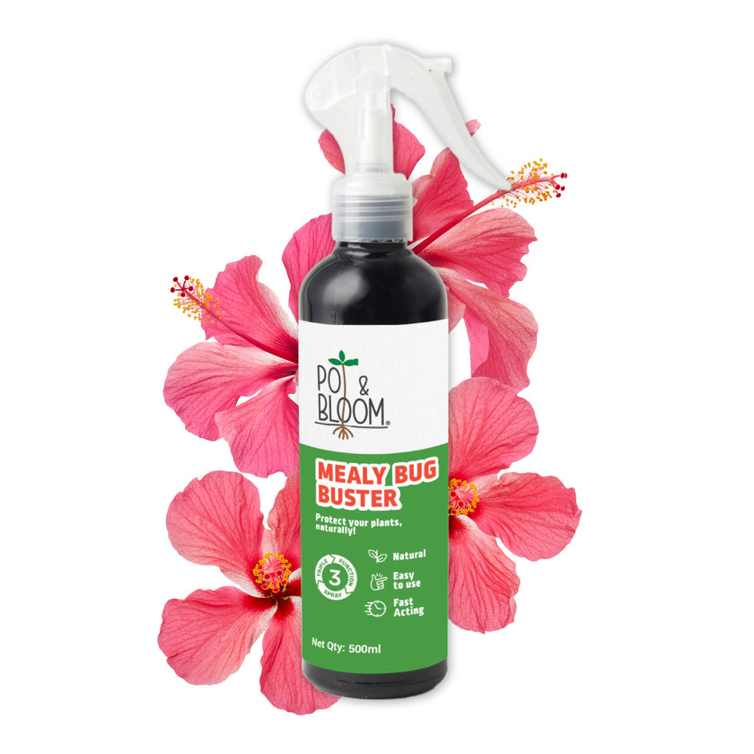 Buy Home Gardening Products Online at Best Price - Pot and Bloom