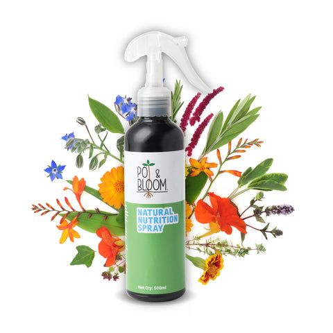 Buy Natural Plant Protection Spray @37% OFF at Pot and Bloom