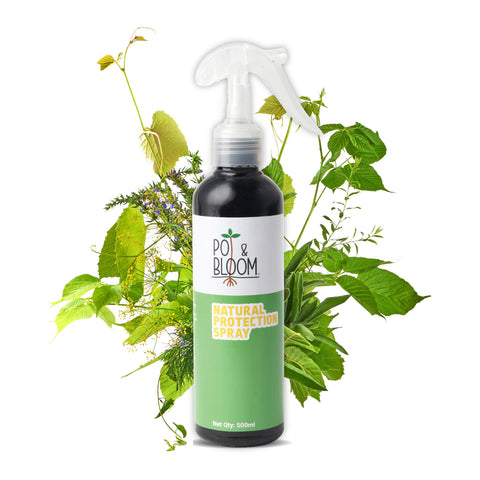 Buy Natural Plant Protection Spray @37% OFF at Pot and Bloom