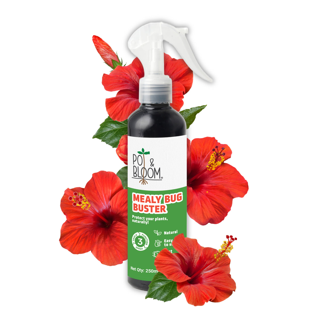 Buy Natural Plant Protection Spray @37% OFF at Pot and Bloom