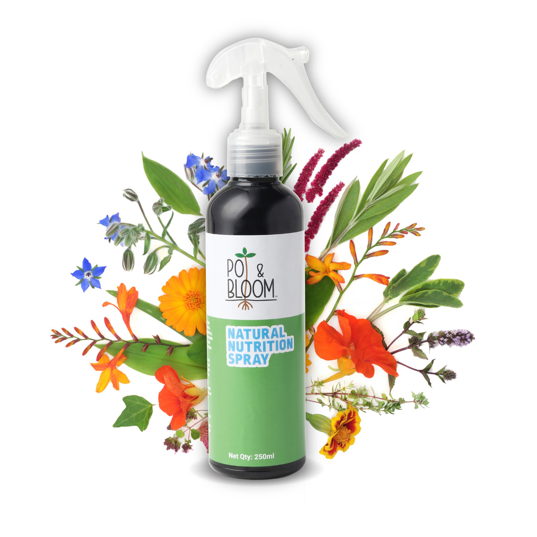 Nutrition Spray (250 ml) Buy Plant Nutrient Spray Online at Pot and Bloom