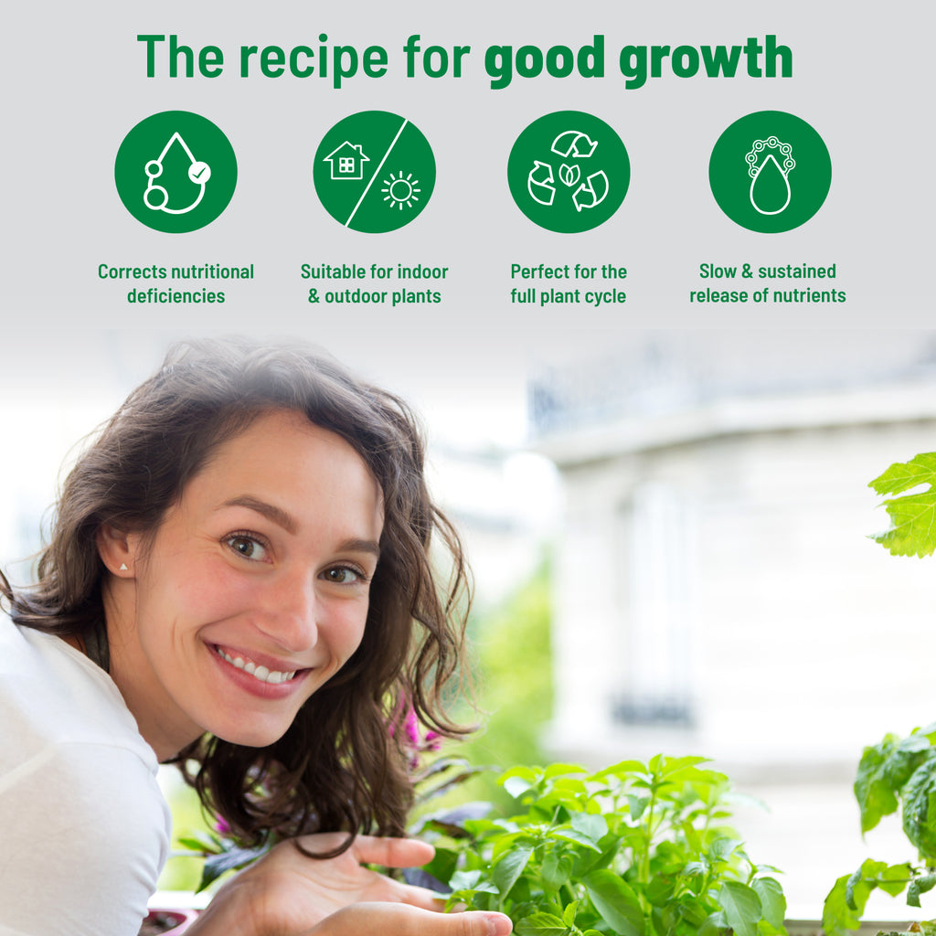 Nutrition Spray 250 ml- Buy Plant Nutrient Spray Online at Pot and Bloom