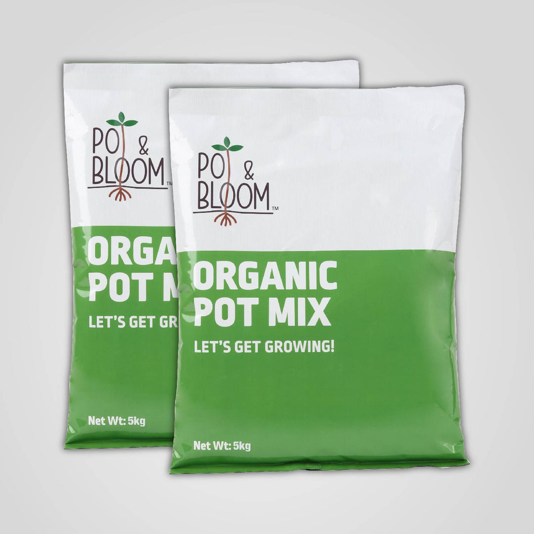 Potting Soil - Buy Pot Mix for Plant Nutrition Online at Pot and Bloom