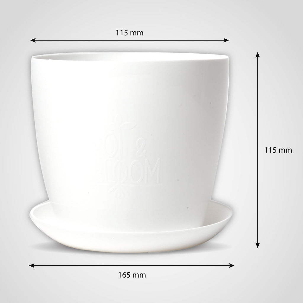Buy Pot and Plate Online at Best Price | Pot and Bloom
