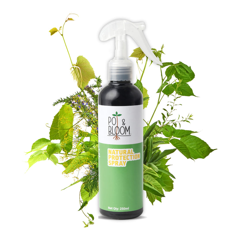 Buy Natural Plant Protection Spray @37% OFF at Pot and Bloom