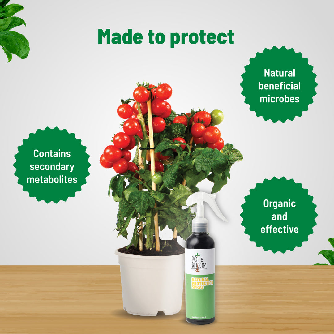 Garden Protection Spray - Buy Natural Plant Protection Spray at Pot ...
