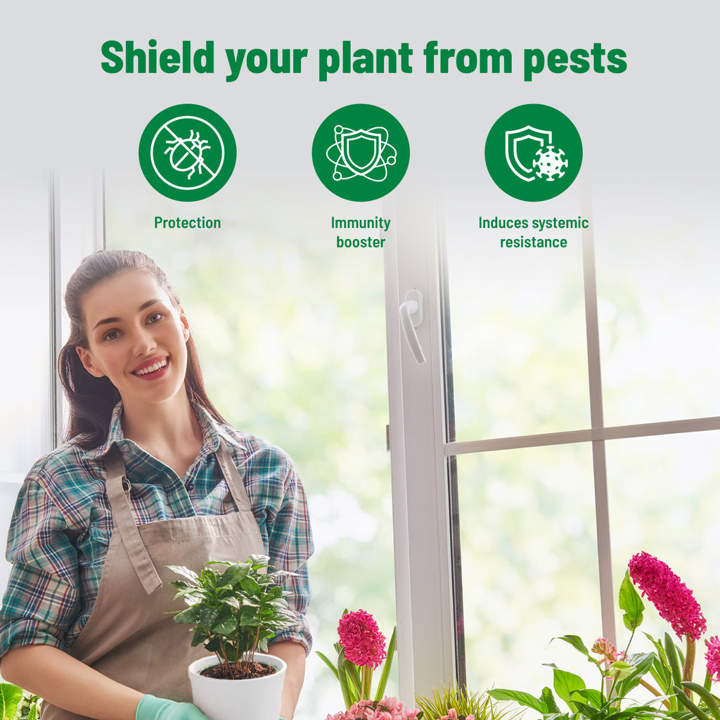 Protection Spray 250 ml- Buy Plant Protect Spray Online at Pot and Bloom