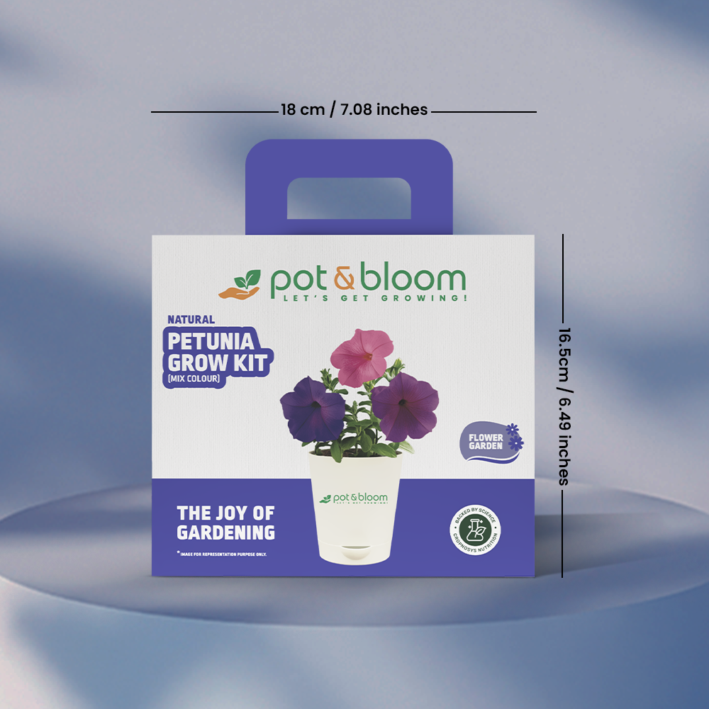Buy Petunia Grow Kit Online at Best Price | Pot and Bloom
