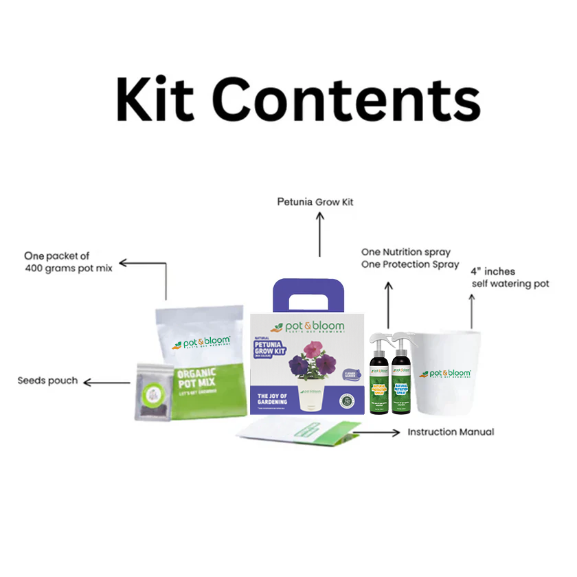 Buy Petunia Grow Kit Online at Best Price | Pot and Bloom