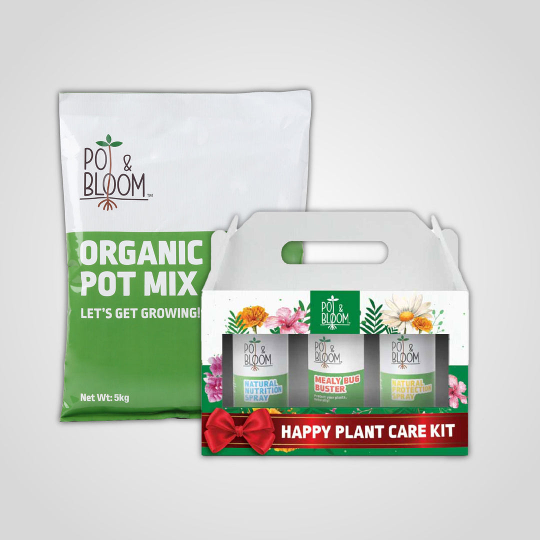 Potting Soil - Buy Pot Mix for Plant Nutrition Online at Pot and Bloom