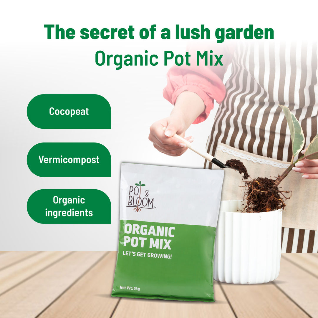 Potting Soil - Buy Pot Mix for Plant Nutrition Online at Pot and Bloom