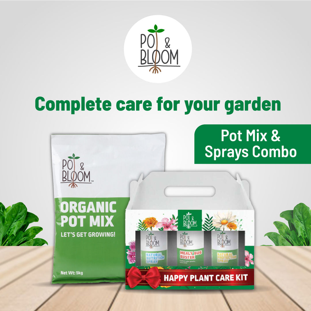 Buy 5kg Pot Mix with Happy Plant Care Kit Combo Online | Pot and Bloom
