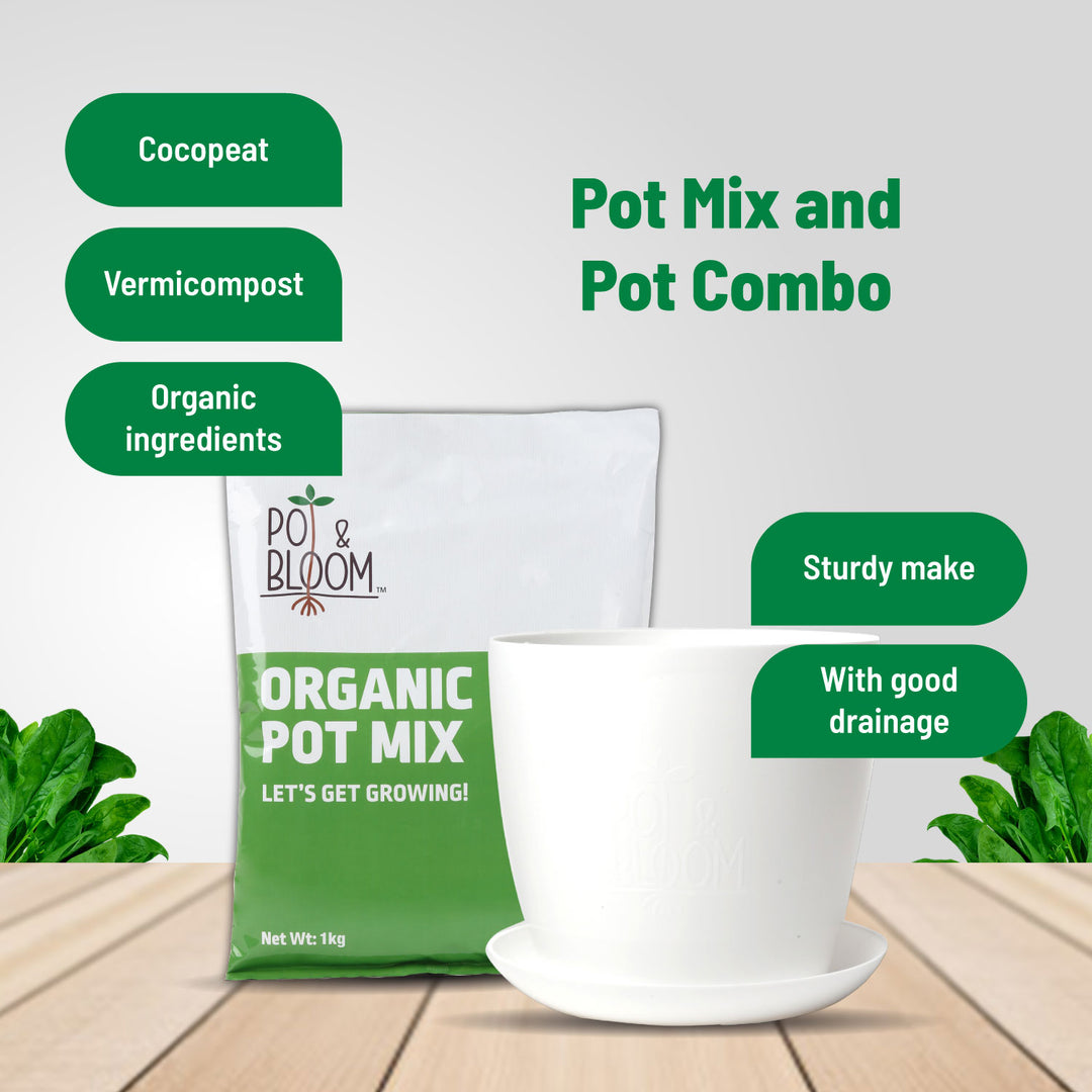 Potting Soil - Buy Pot Mix for Plant Nutrition Online at Pot and Bloom