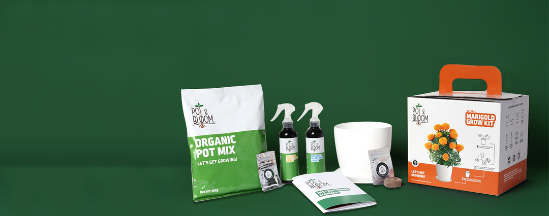 Gardening Kit - Buy Seed and Plant Care Products Online at Pot & Bloom ...