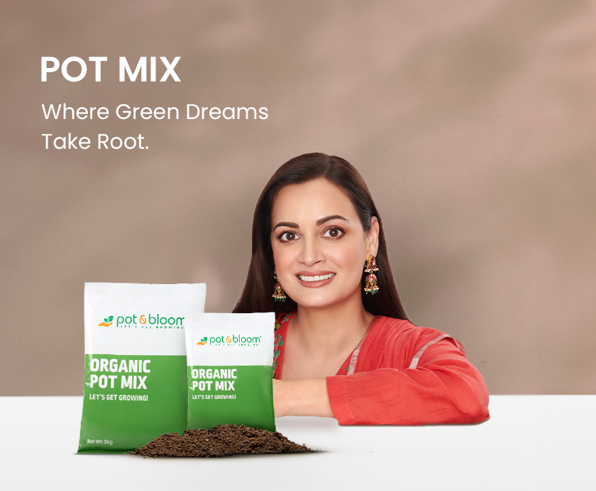 Potting Soil - Buy Pot Mix for Plant Nutrition Online at Pot and Bloom