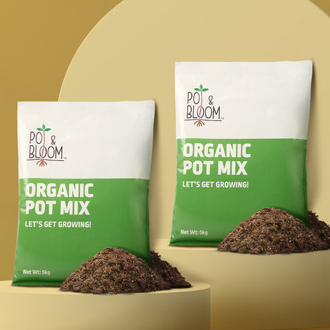 Potting Soil - Buy Pot Mix for Plant Nutrition Online at Pot and Bloom