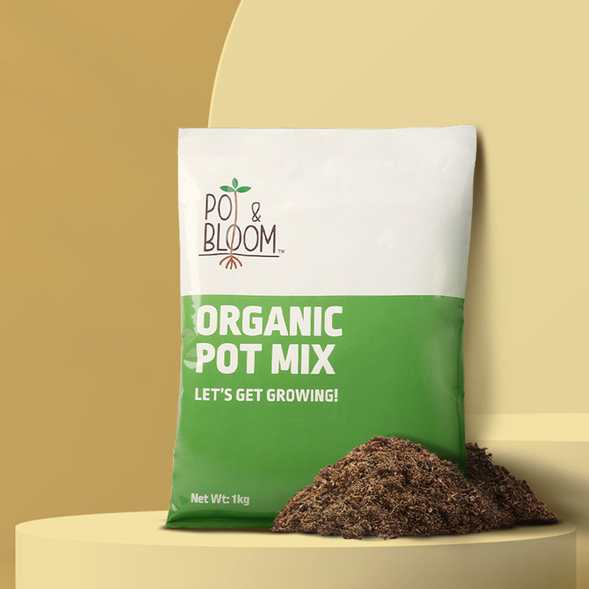 Potting Soil - Buy Pot Mix for Plant Nutrition Online at Pot and Bloom