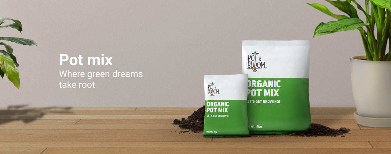 Potting Soil - Buy Pot Mix for Plant Nutrition Online at Pot and Bloom