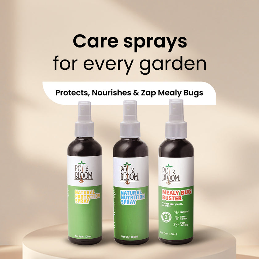 Buy Plant Protection and Nutrition Sprays @37% OFF at Pot and Bloom