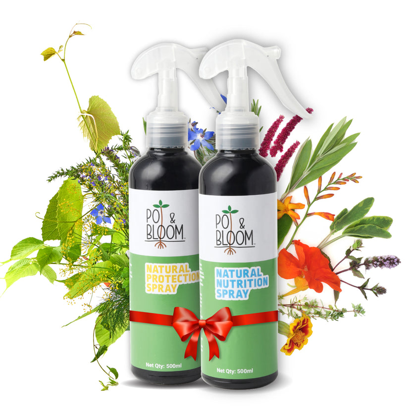Buy Natural Plant Protection Spray @37% OFF at Pot and Bloom