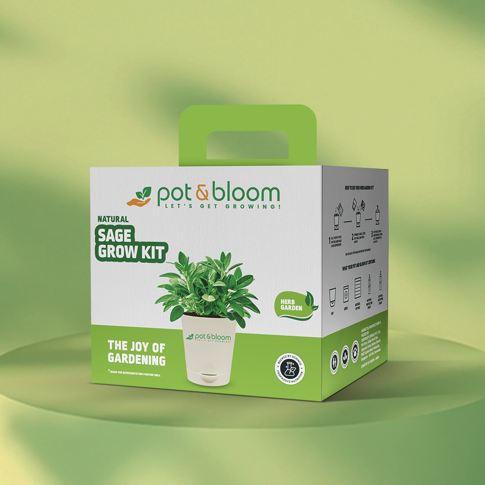 Buy Sage Grow Kit Online at Best Price | Pot and Bloom