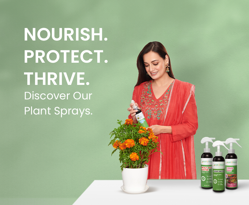 Buy Plant Protection and Nutrition Sprays @37% OFF at Pot and Bloom