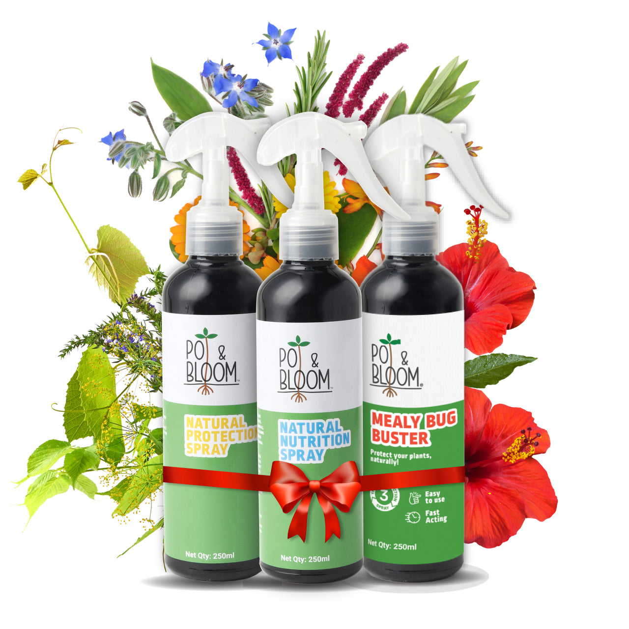 Gardening Blogs - Top Plant Gardening Basics Blogs Online at Pot and Bloom