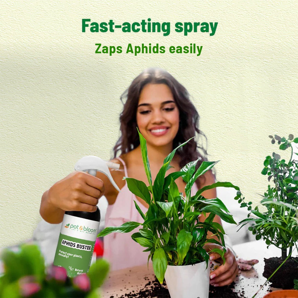 Aphids Buster Spray 250 ml – Pot and Bloom
