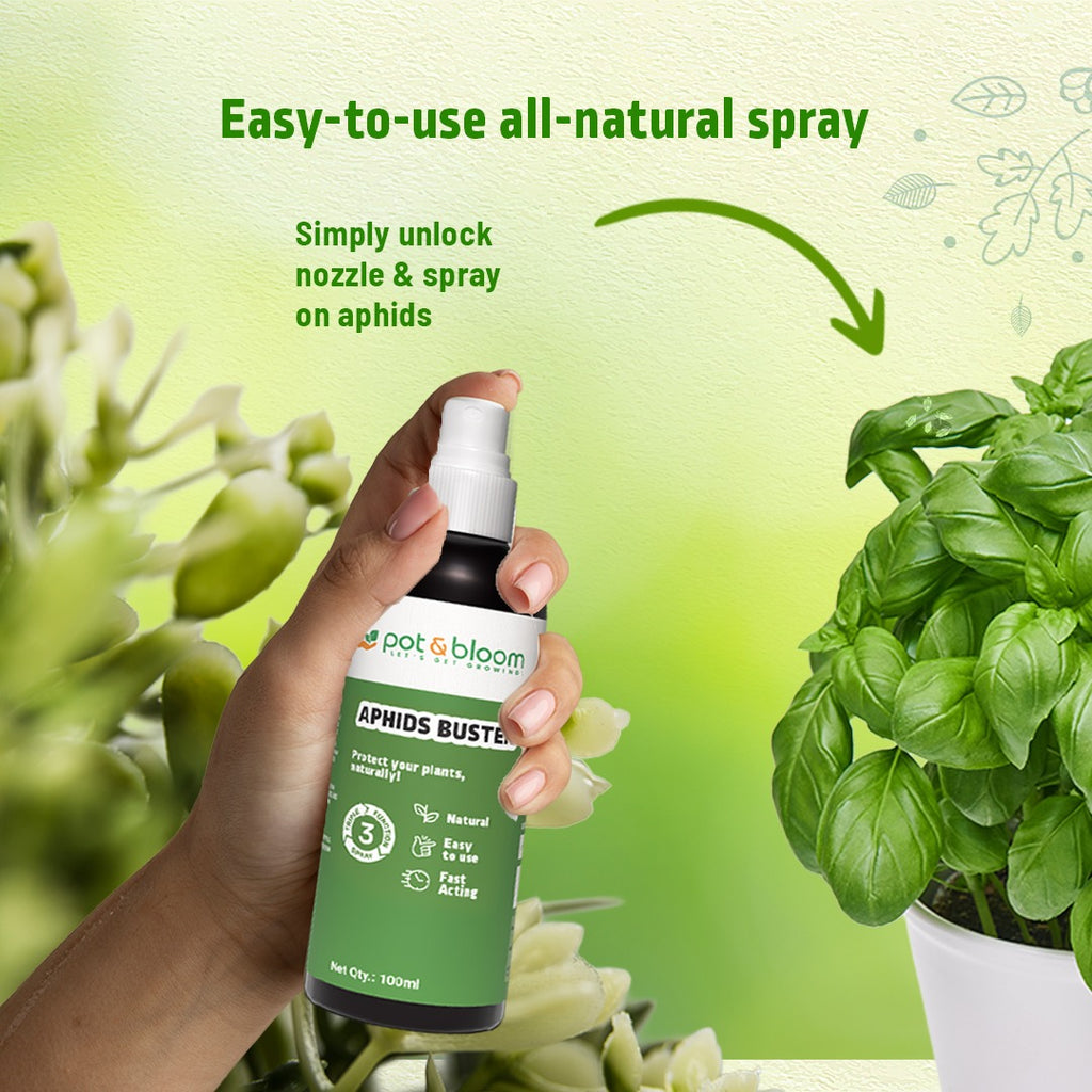 Aphids Buster Spray 100 ml – Pot and Bloom